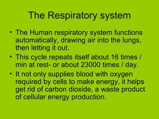 The Respiratory System | PPT