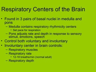 The Respiratory System | PPT