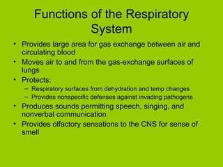 The Respiratory System | PPT