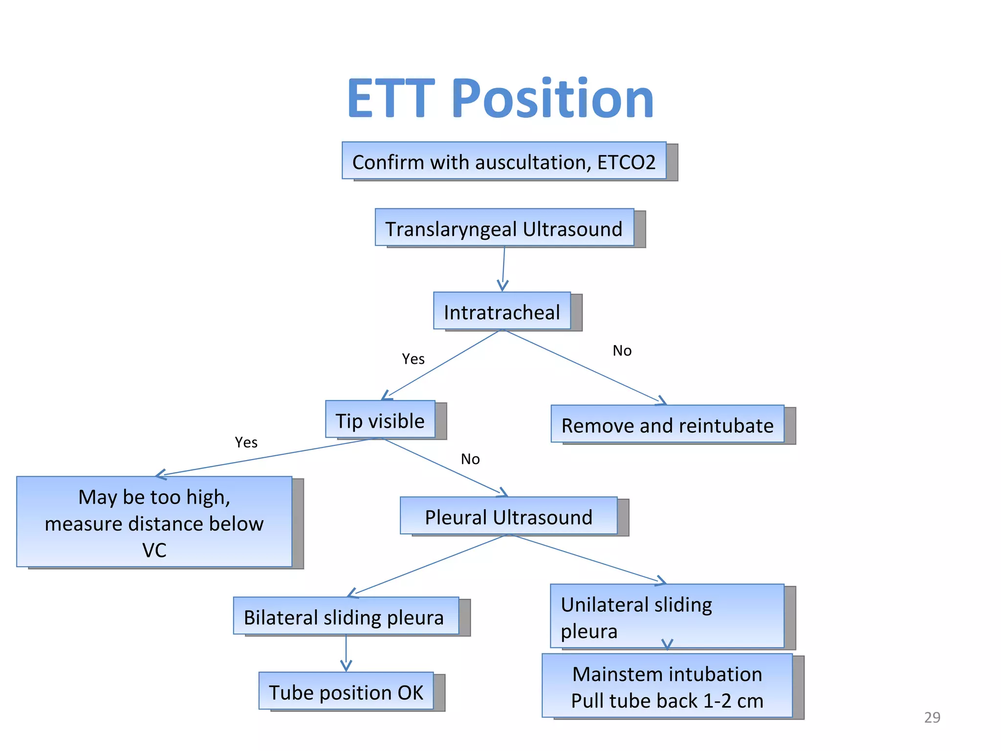 Thoracic Ultrasound For The Respiratory System In Critically Ill ...