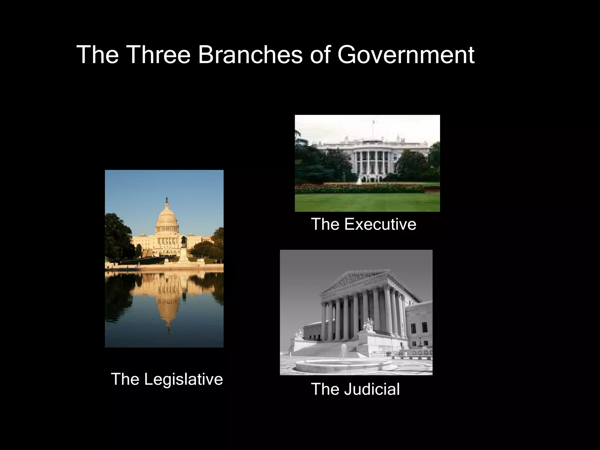Three Branches Of Government | PPT