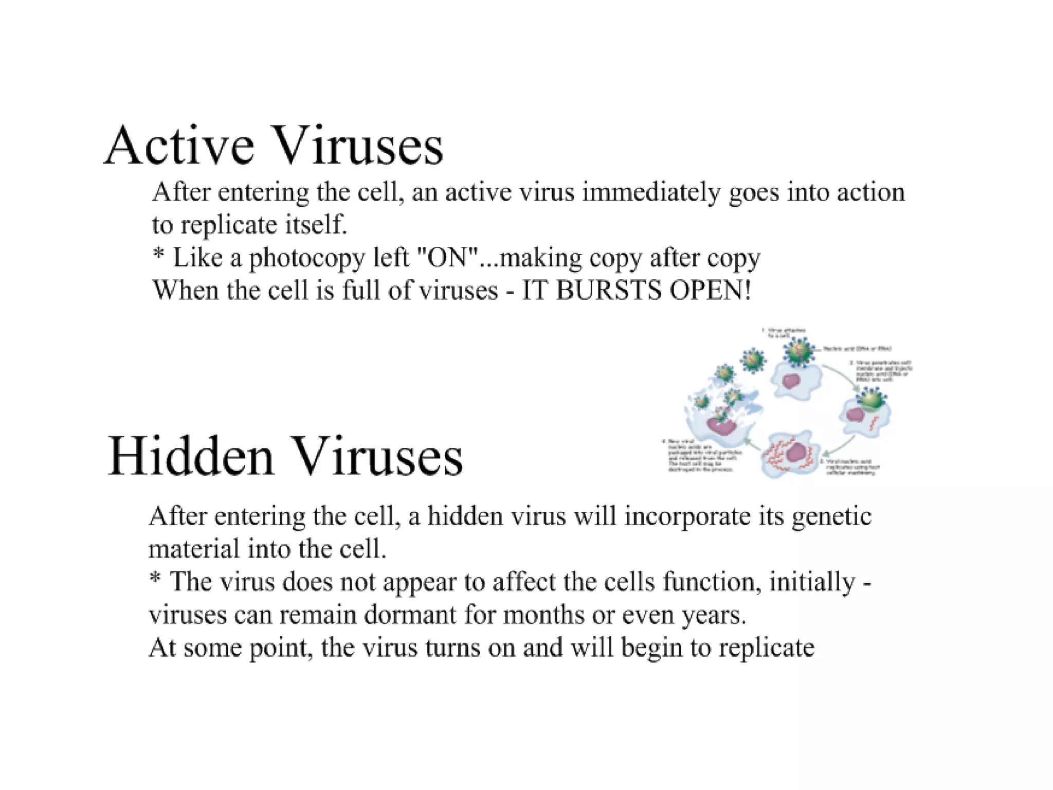 Viruses | PPT