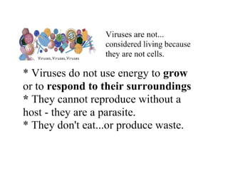 Viruses | PPT
