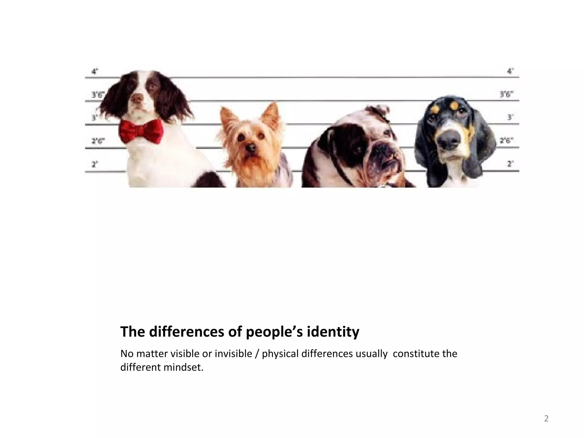 What Diversity Means to Me | PPT