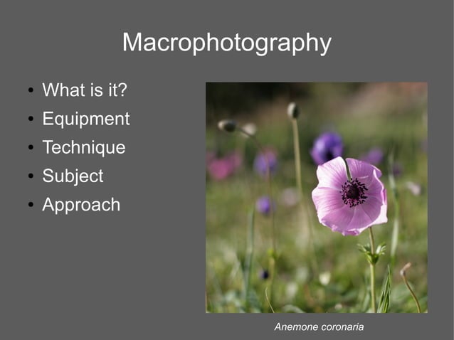 Macrophotography | PDF | Photography | Arts and Crafts
