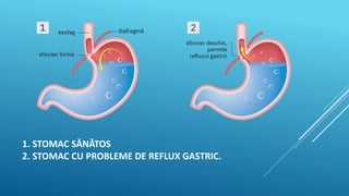 a-10_medic.-antiacide.pptx