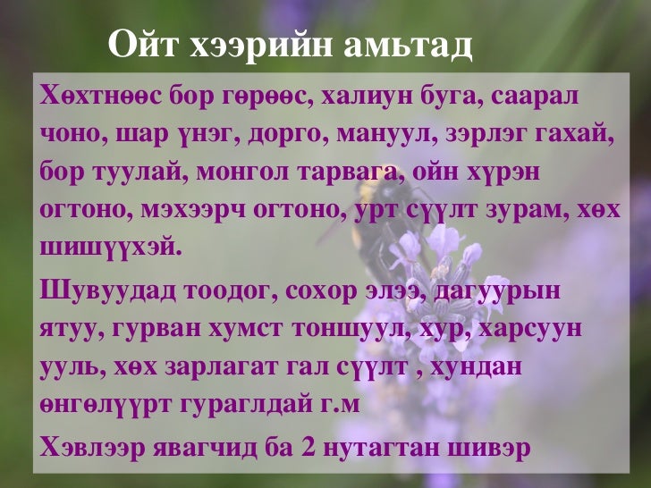Aн ам ьтан ту