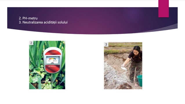 a-12_ameliorare-soluri.pptx