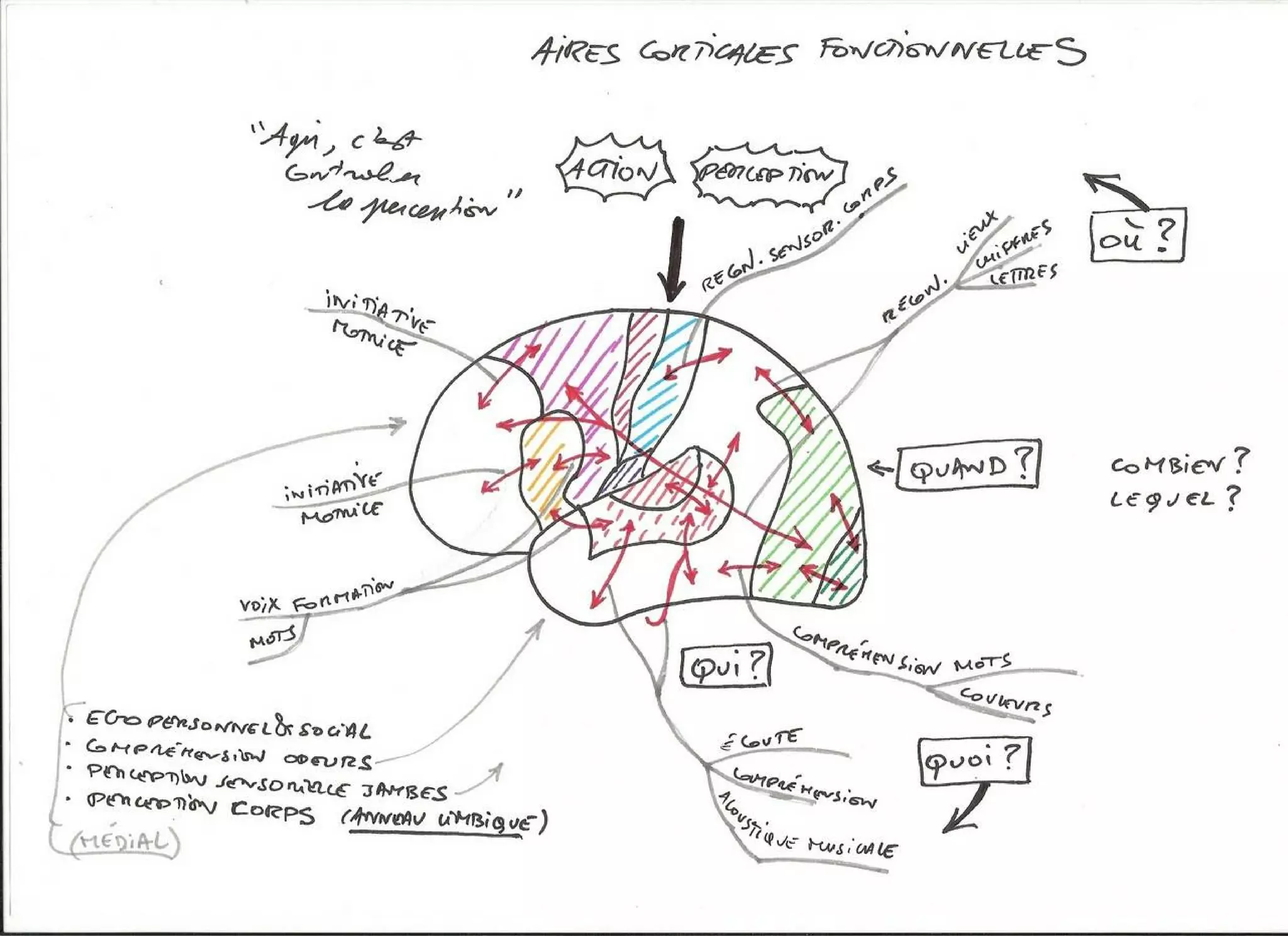 Mind maps cartes mappe mapas : neuroanatomy neuroanatomy neuroanatomia ...