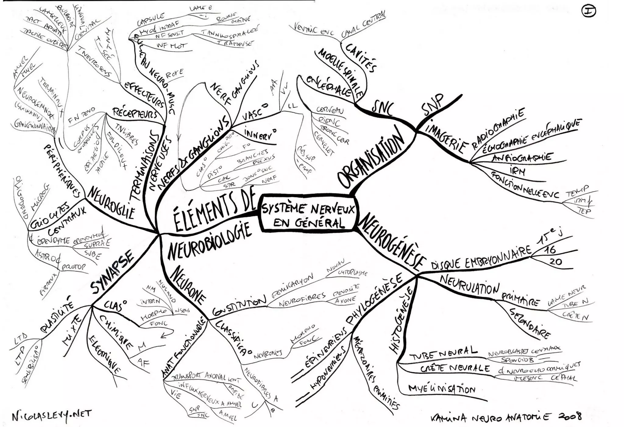 Mind maps cartes mappe mapas : neuroanatomy neuroanatomy neuroanatomia ...