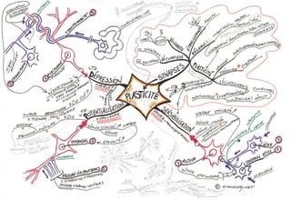 Mind maps cartes mappe mapas : neuroanatomy neuroanatomy neuroanatomia ...