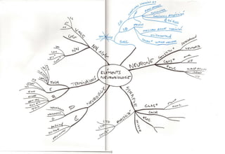 Mind maps cartes mappe mapas : neuroanatomy neuroanatomy neuroanatomia ...