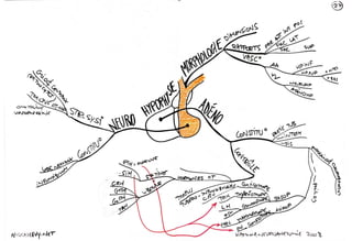 Mind maps cartes mappe mapas : neuroanatomy neuroanatomy neuroanatomia ...