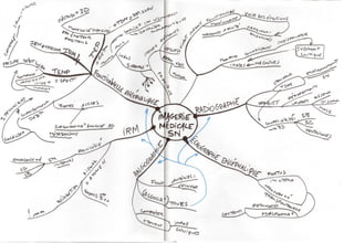 Mind maps cartes mappe mapas : neuroanatomy neuroanatomy neuroanatomia ...