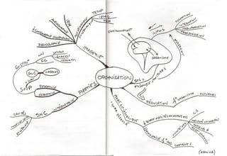 Mind maps cartes mappe mapas : neuroanatomy neuroanatomy neuroanatomia ...