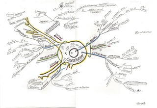 Mind maps cartes mappe mapas : neuroanatomy neuroanatomy neuroanatomia ...