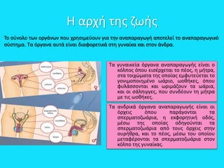 Aναπαραγωγικό σύστημα | PPTX