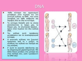 Aναπαραγωγικό σύστημα | PPT