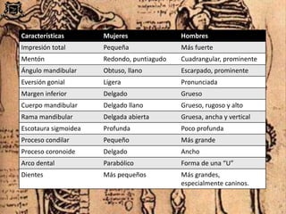 Determinación de sexo | PPTX