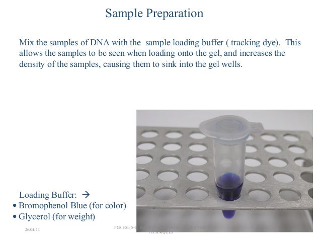 Tris Glycine Native Sample Buffer Recipe | Bryont Blog