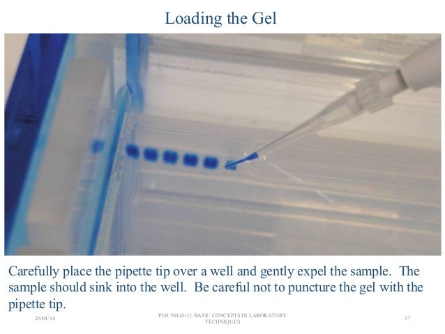 Agarose Gel Loading Dye Recipe | Dandk Organizer
