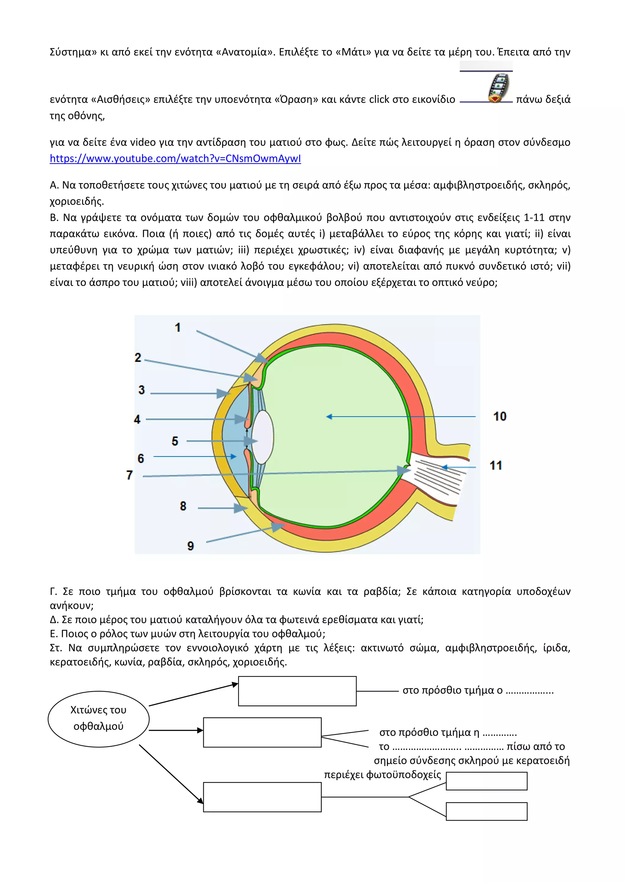 Φύλλο εργασίας αισθητήρια όργανα | PDF