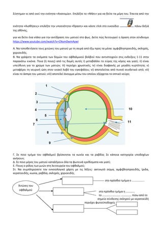Φύλλο εργασίας αισθητήρια όργανα | PDF