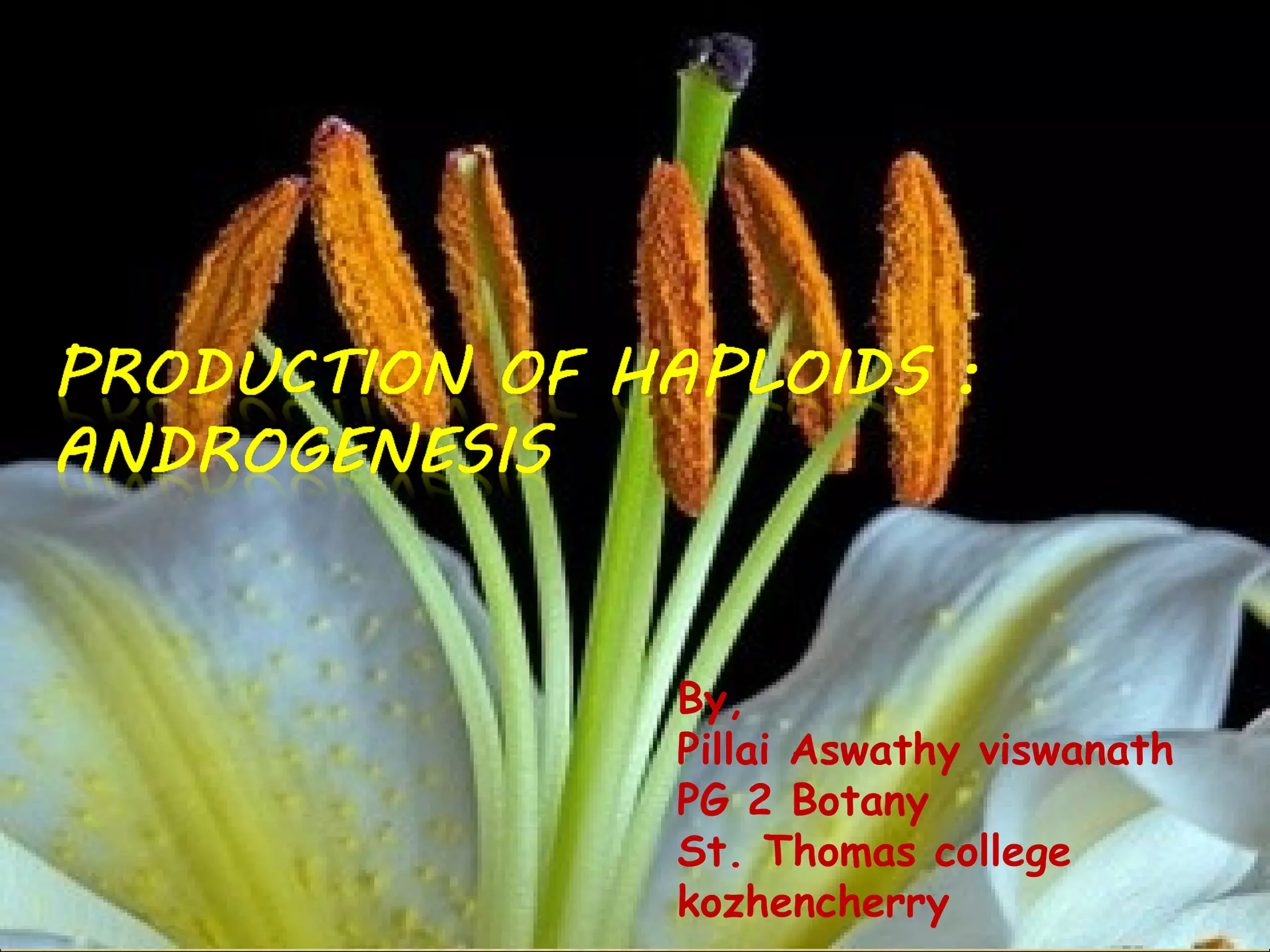 Androgenesis by Aswathy Viswanath | PPT