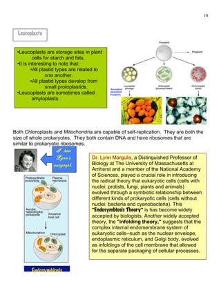 Cell Notes | PDF