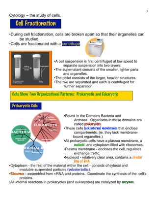 Cell Notes | PDF