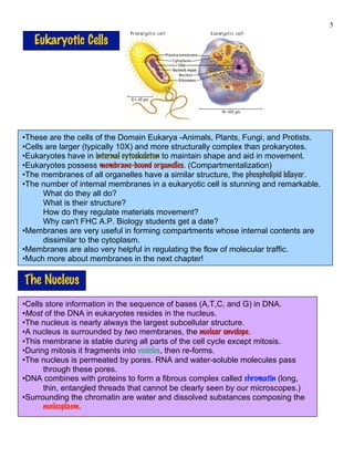 Cell Notes | PDF