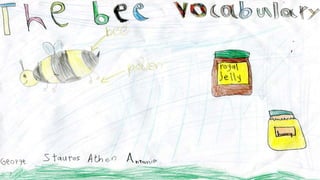 The bee project | PPTX | Beekeeping | Hobbies & Interests