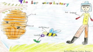 The bee project | PPTX | Beekeeping | Hobbies & Interests