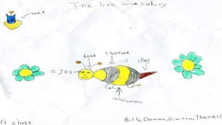 The bee project | PPTX | Beekeeping | Hobbies & Interests