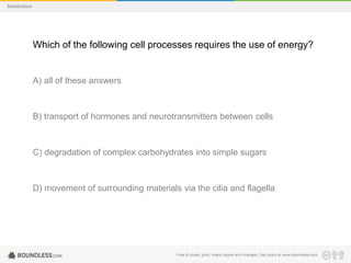 A. energy and metabolism check your learning | PPT