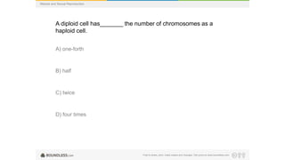 A. meiosis check your learning | PPT