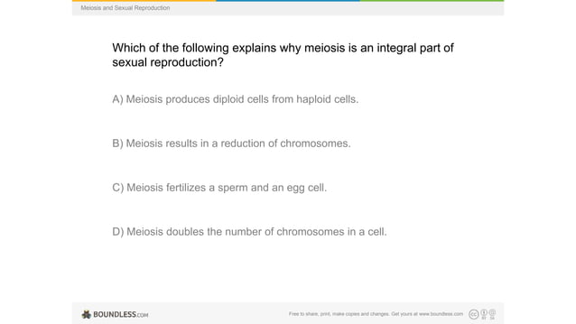 A. meiosis check your learning | PPT