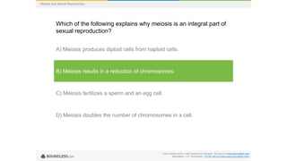 A. meiosis check your learning | PPTX