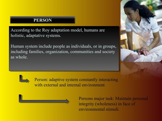 ADAPTATION MODEL | PPT