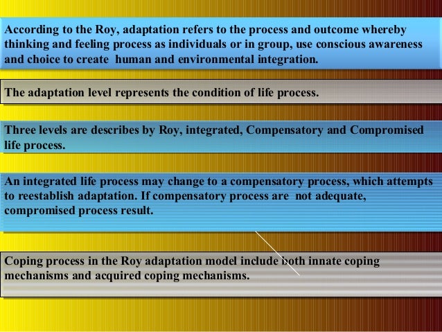 ADAPTATION MODEL