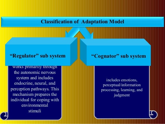 ADAPTATION MODEL