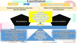 Jean Piaget.-Four Basic Cognitive Concepts(Illustration) | PPT