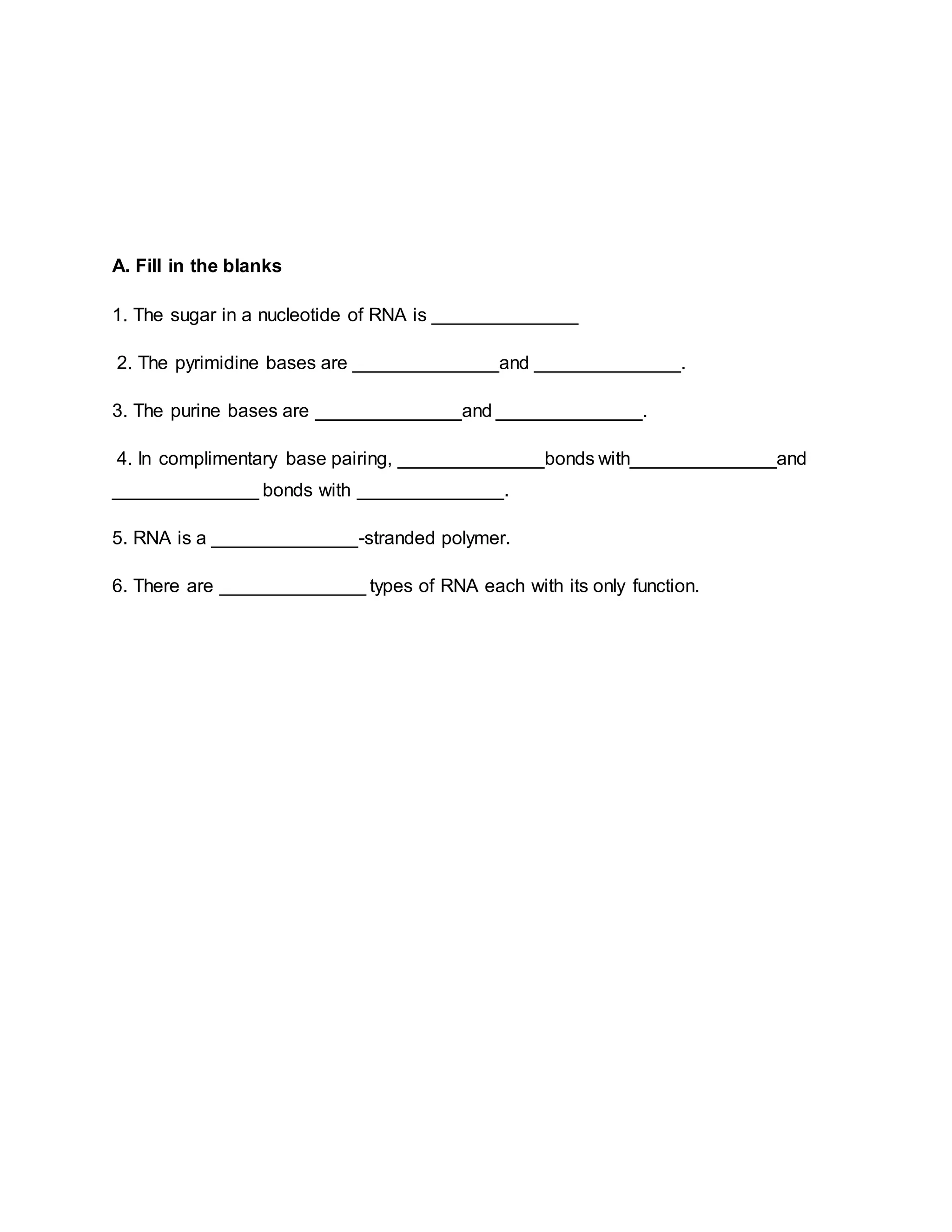 RNA worksheet | DOCX