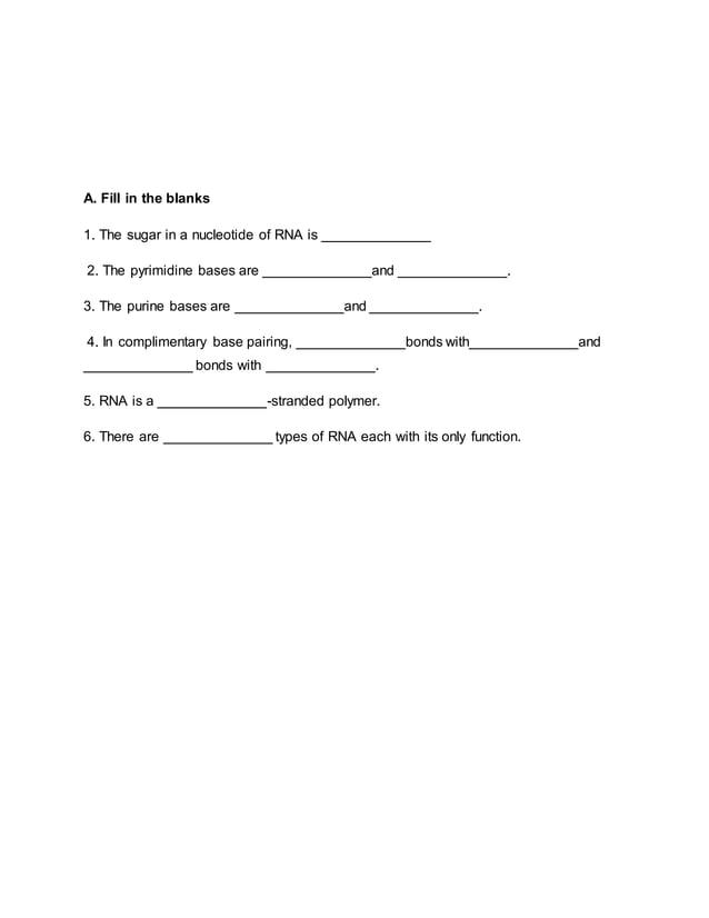 RNA worksheet | DOCX