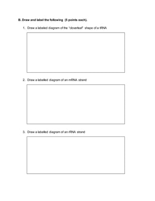 RNA worksheet | DOCX