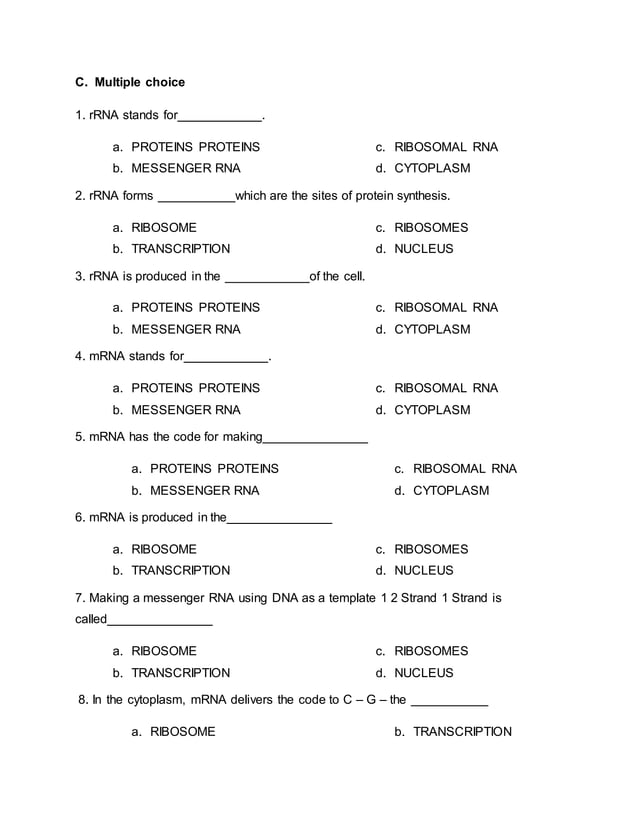 RNA worksheet | DOCX
