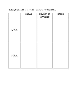 RNA worksheet | DOCX