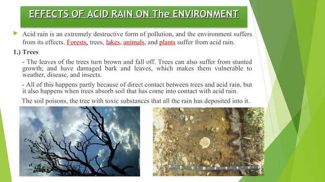 ACID RAIN (CAUSES, EFFECTS, & SOLUTION) BY- KUMAR SHUBHAM (B.PHARM- 3rd ...