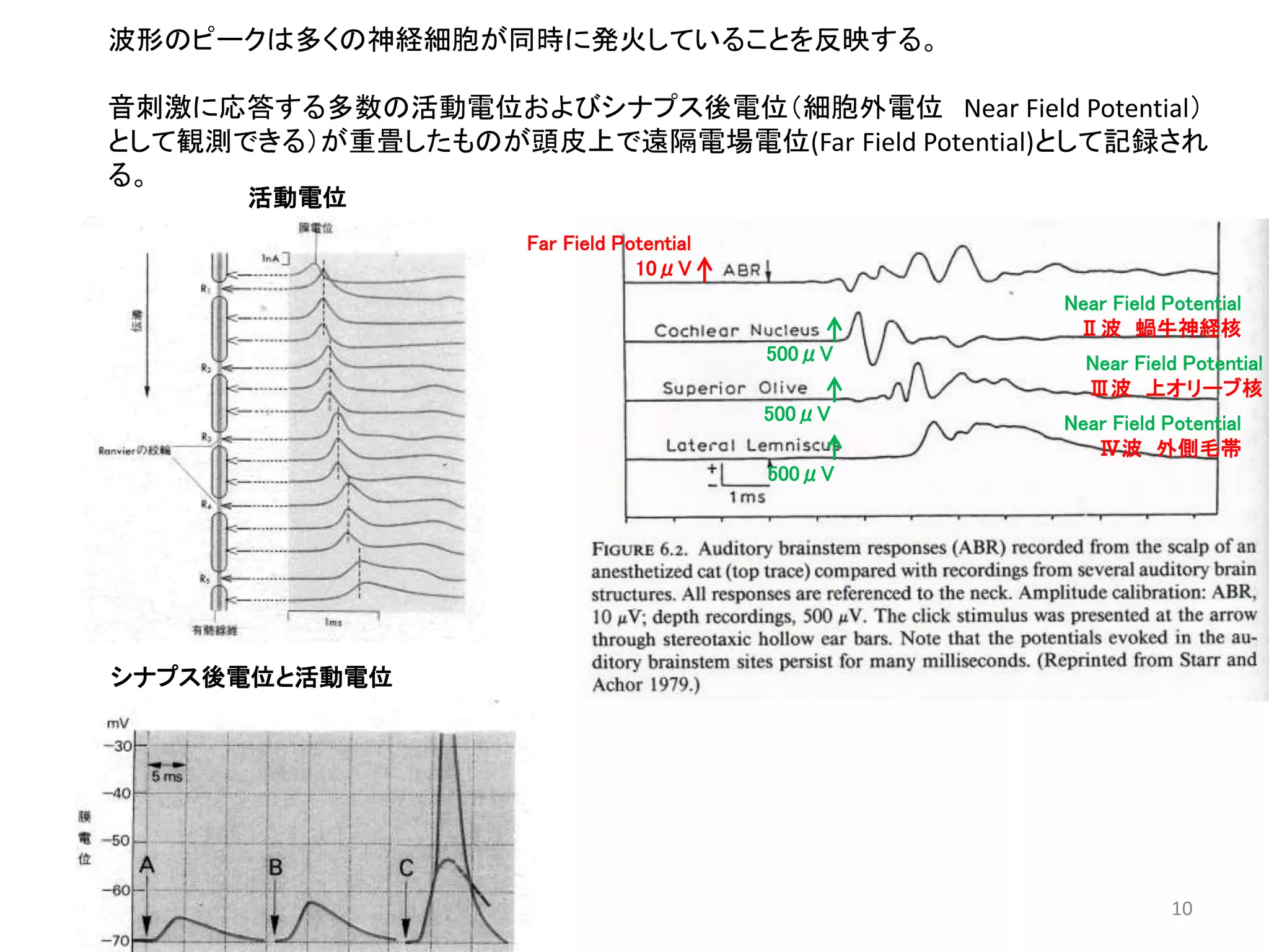 聴力測定技術講習会 ABRとASSR | PPTX