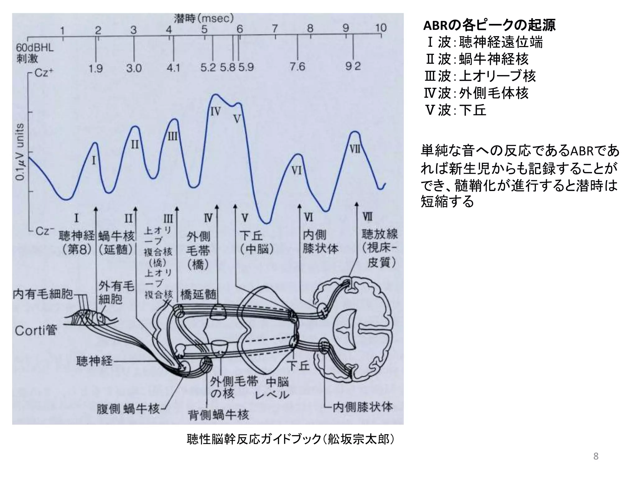 聴力測定技術講習会 ABRとASSR | PPTX